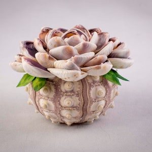 Seashell Tea Rose Flower - Etsy