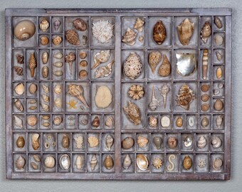 Printers Tray - Etsy