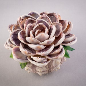 Seashell Tea Rose Flower - Etsy