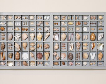 Printers Tray - Etsy