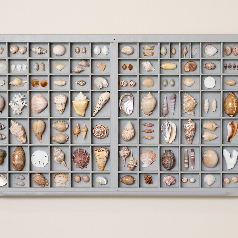 Printers Tray - Etsy