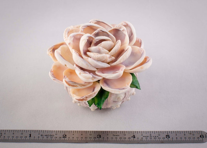 Seashell Tea Rose Flower - Etsy