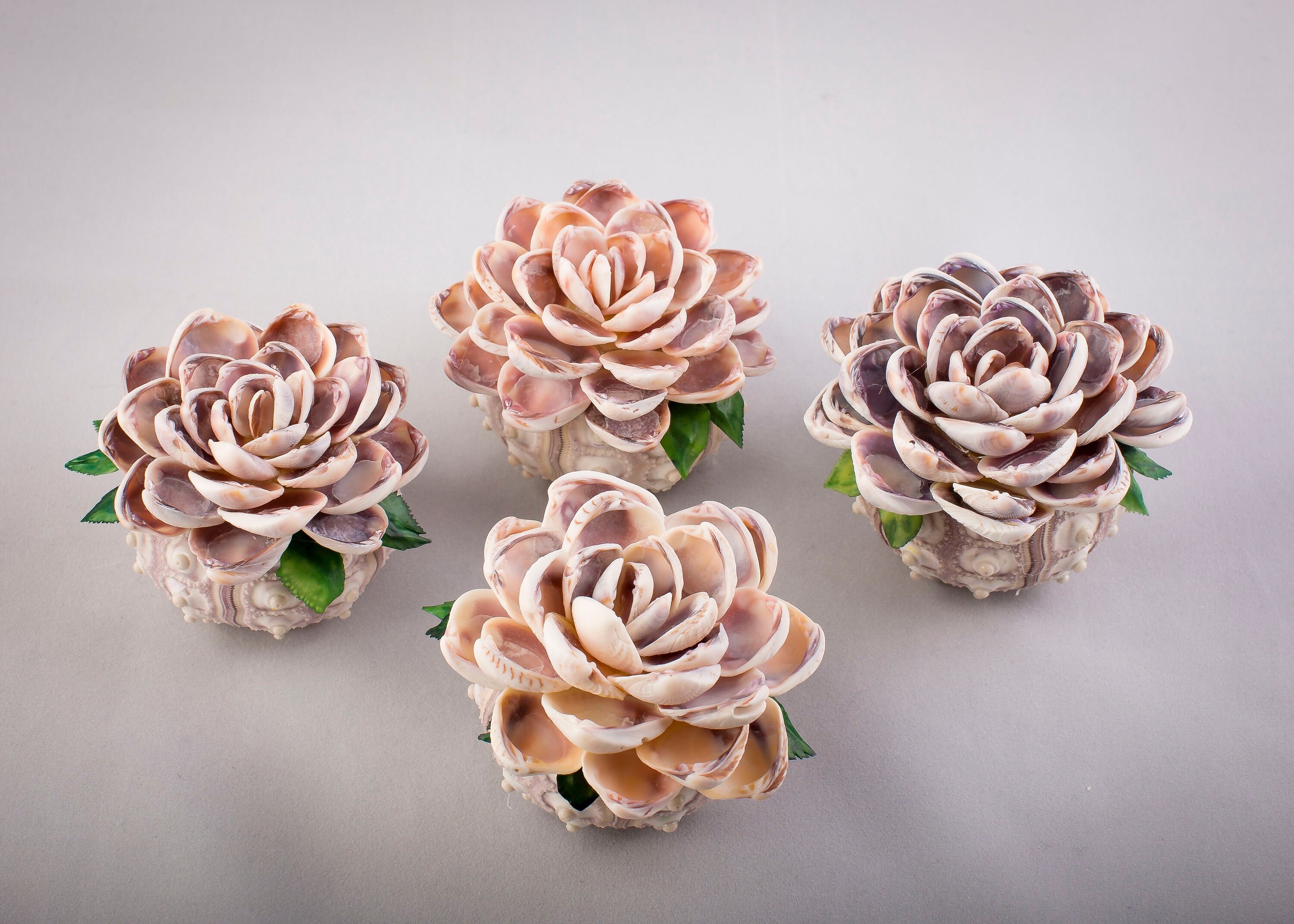 Seashell Tea Rose Flower - Etsy