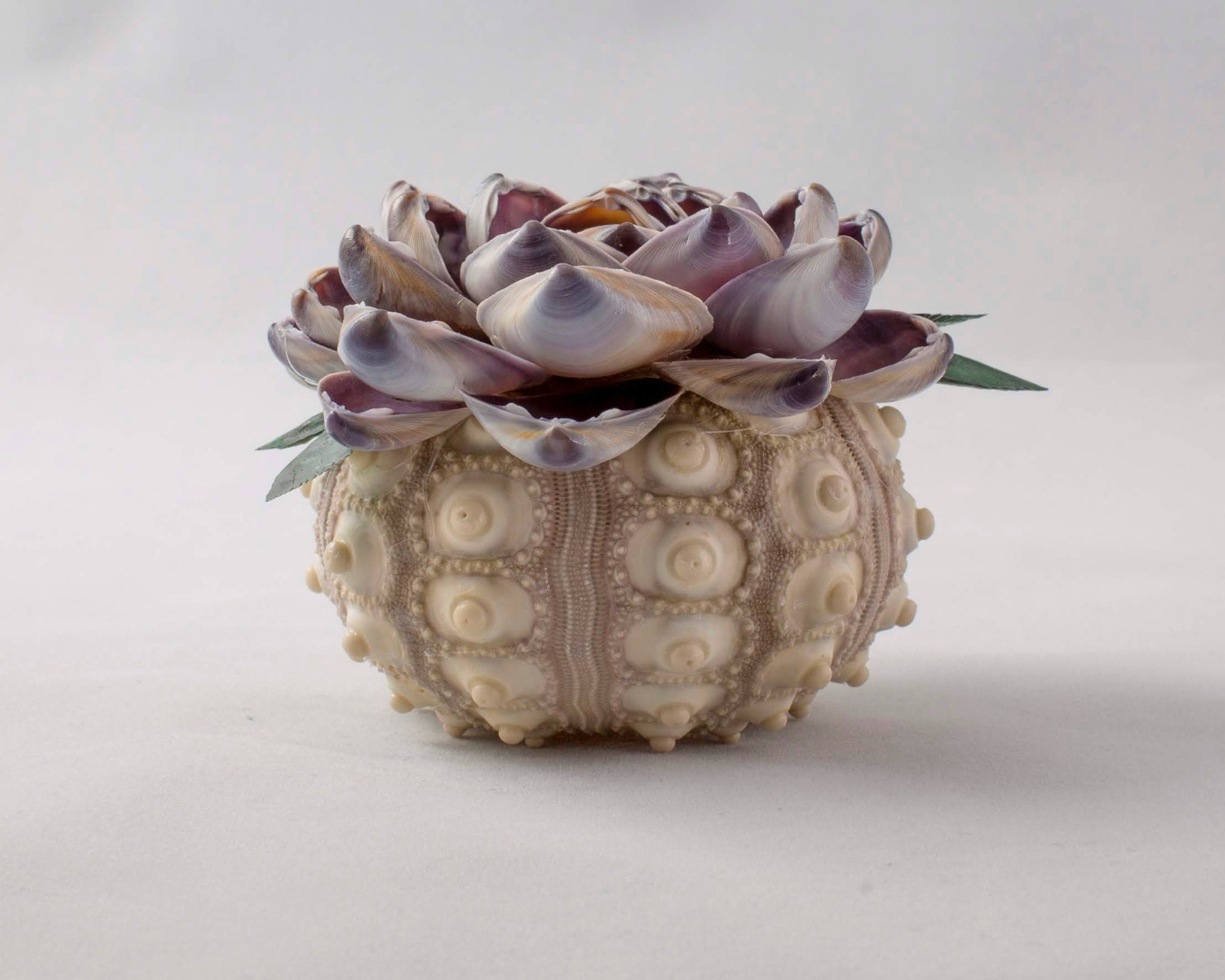 Seashell Purple Rose Flower | Etsy