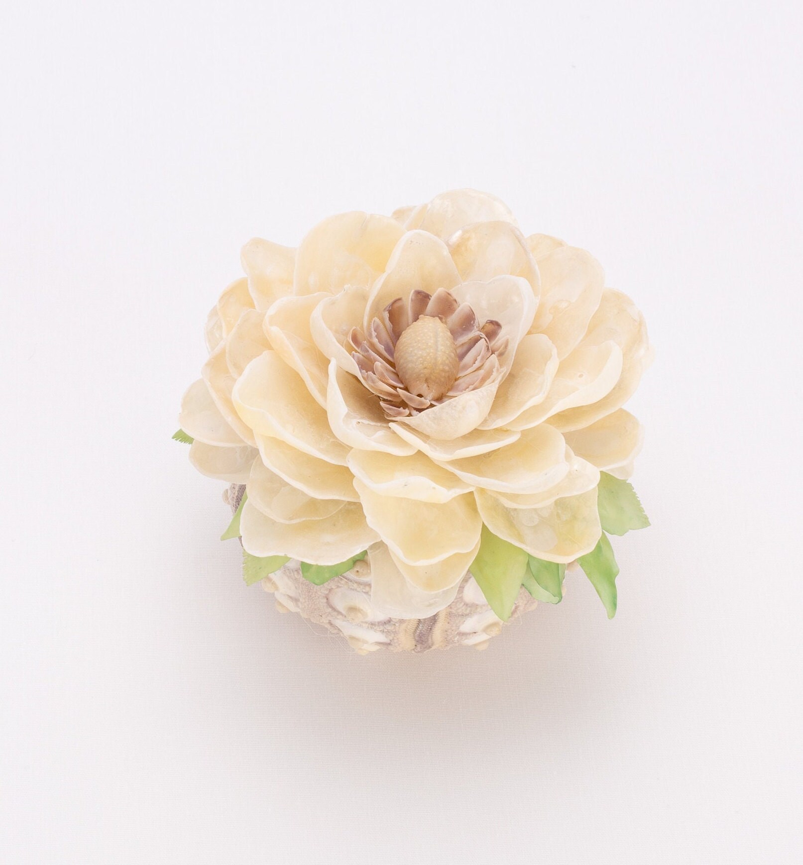 Ivory "rose" Seashell Flower - Etsy