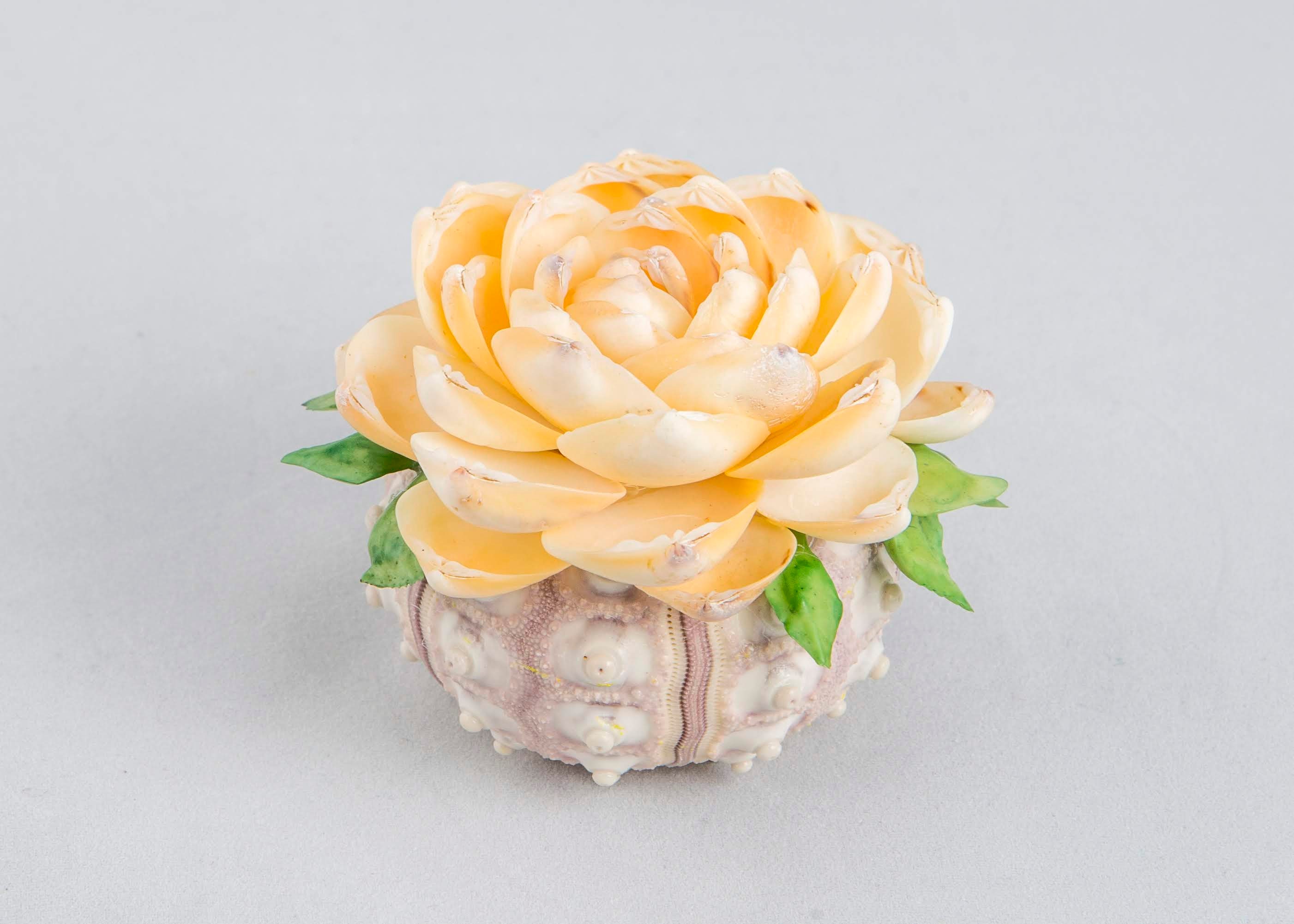 Seashell Creamy Yellow Rose Flower - Etsy