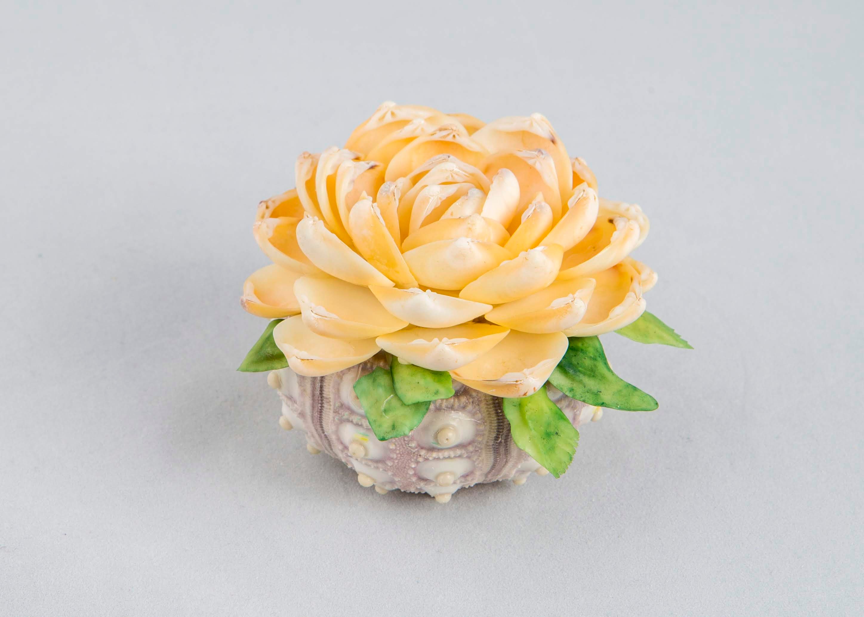 Seashell Creamy Yellow Rose Flower - Etsy