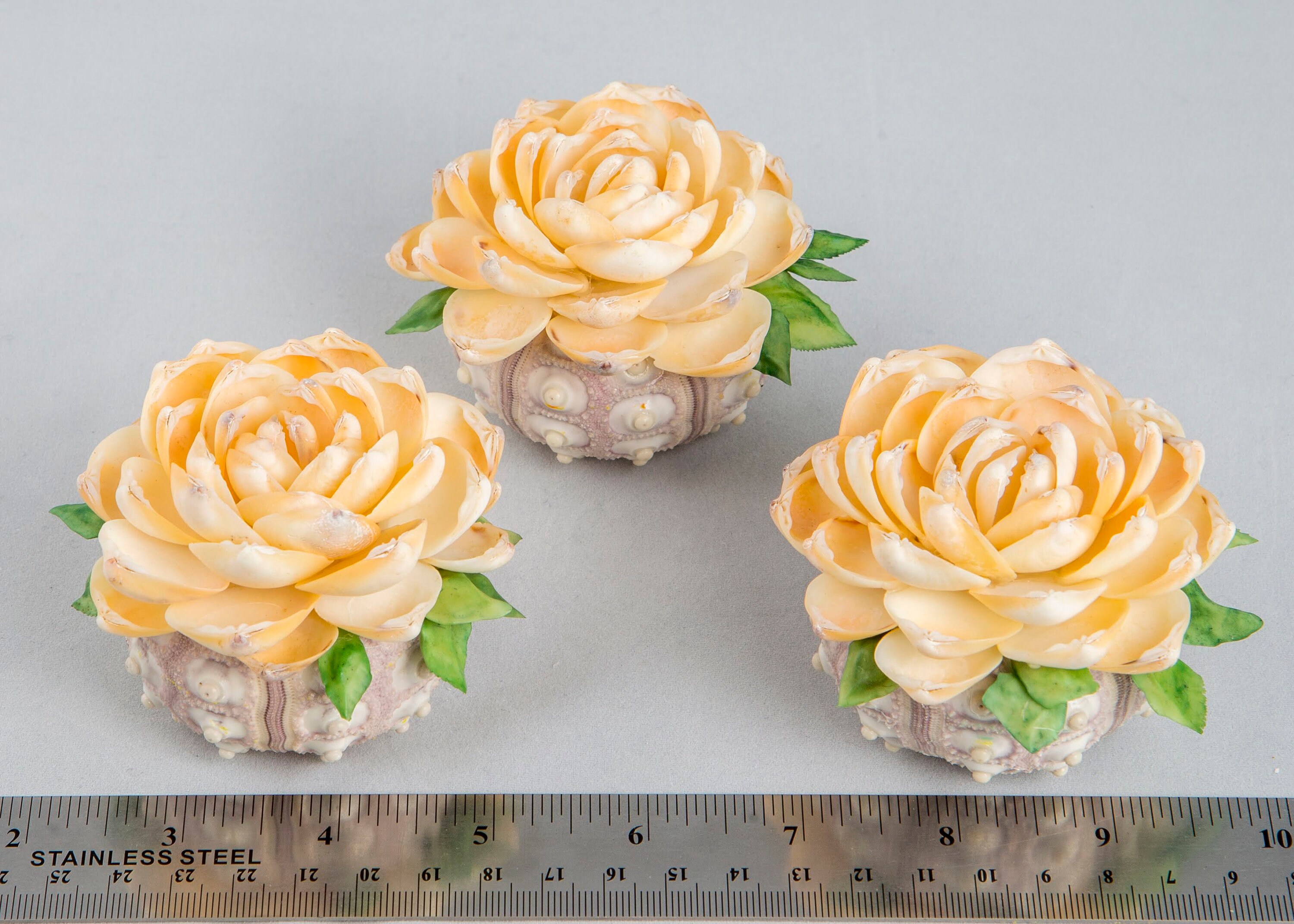 Seashell Creamy Yellow Rose Flower - Etsy
