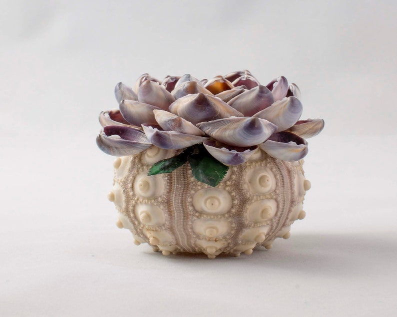 Seashell Purple Rose Flower - Etsy