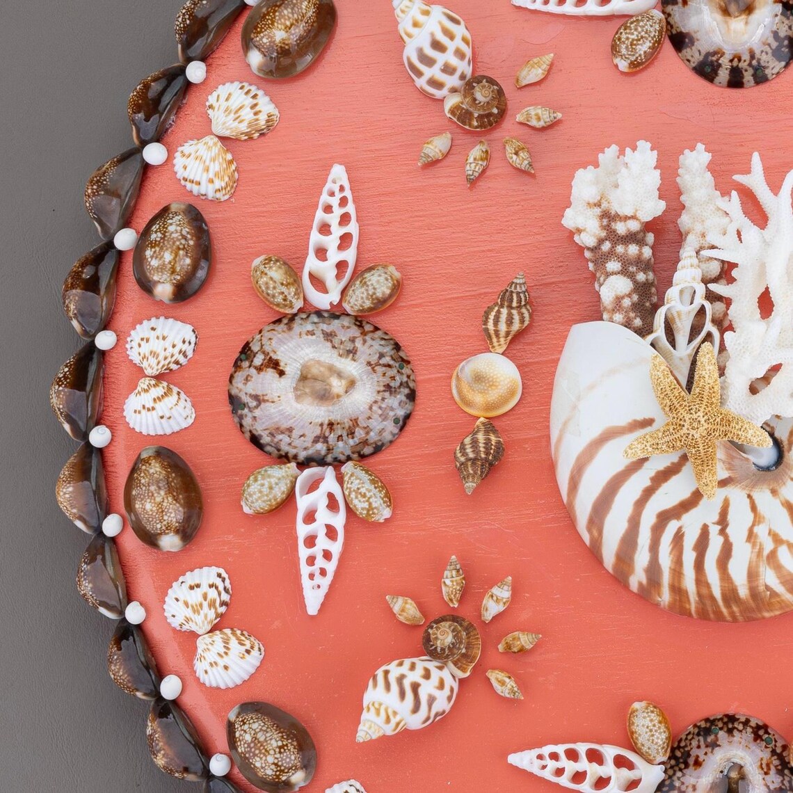 Coral Round Seashell Wall Panel - Etsy
