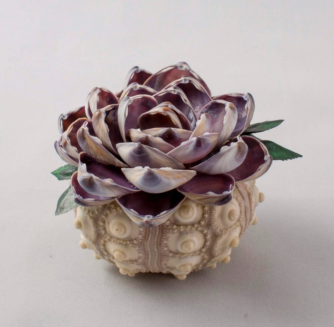 Seashell Purple Rose Flower - Etsy