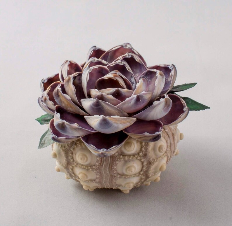 Seashell Purple Rose Flower - Etsy