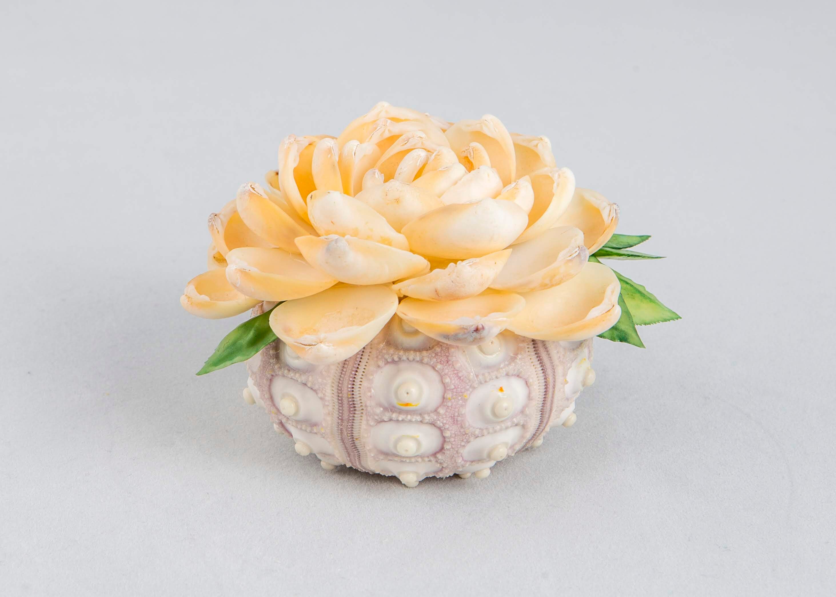 Seashell Creamy Yellow Rose Flower - Etsy
