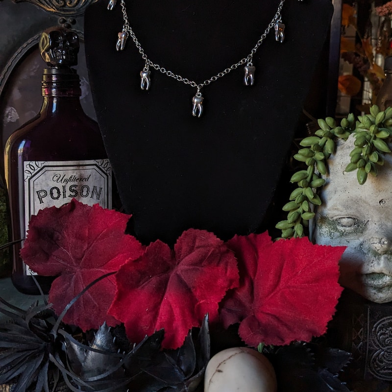 IamSkullsNBones - Etsy