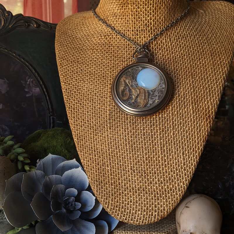 IamSkullsNBones - Etsy