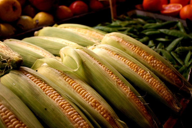 Corn on the Cob, Pike Place Market - Etsy