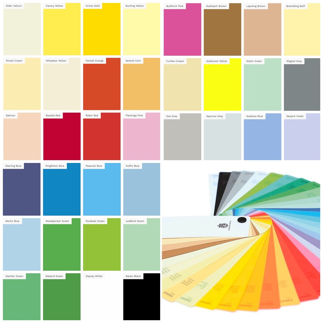 A4 Coloured Printer Paper Choose Colour / No. of Sheets - Etsy