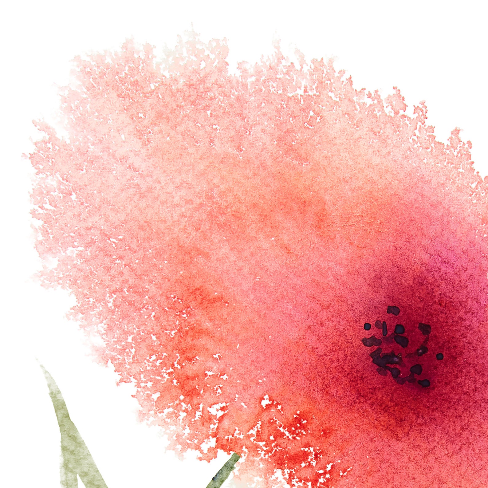 Red Flower Watercolour Abstract Painting Fine Art Print of | Etsy