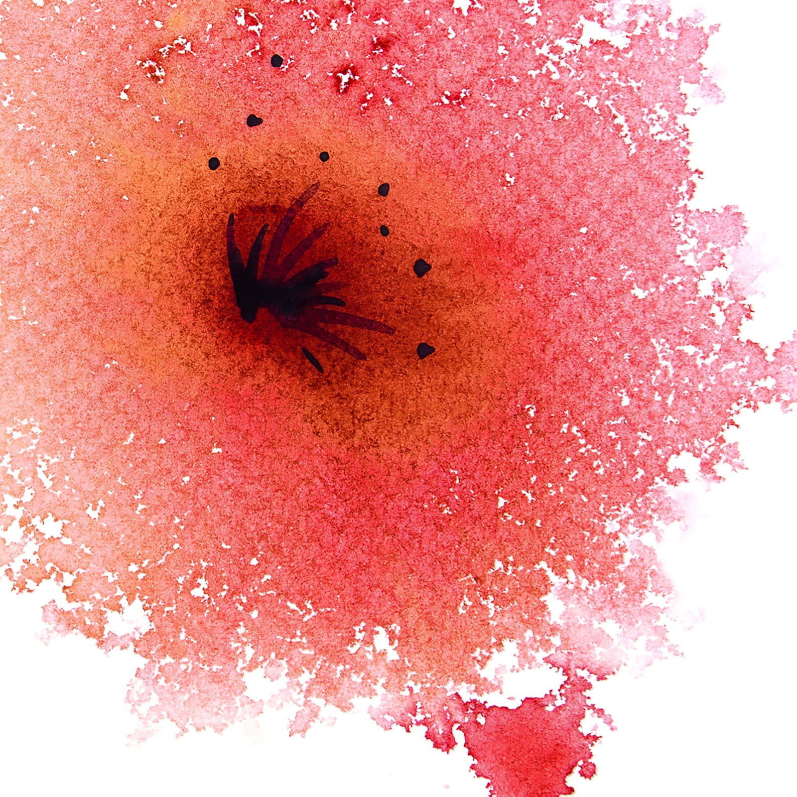 Red Watercolour Flower Painting Fine Art Print of Original | Etsy