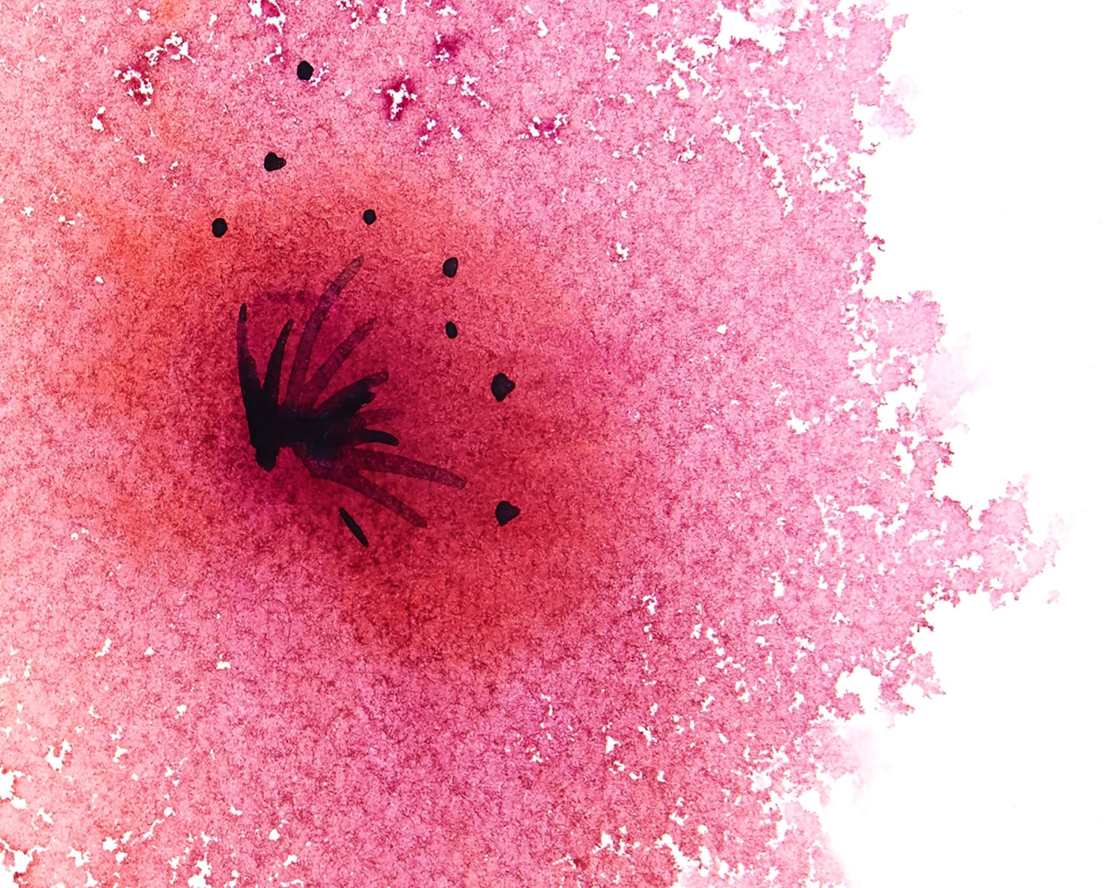 Printable Art Red Flower Wall Art Digital Download Abstract | Etsy