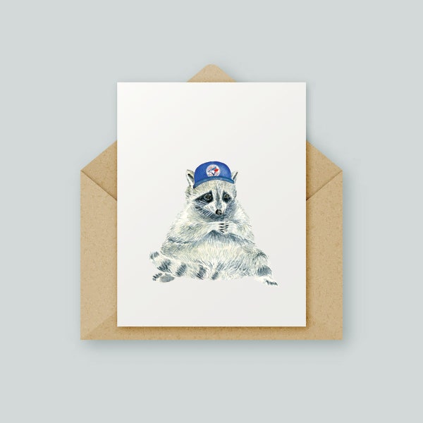 Raccoon Blue Jay - Etsy