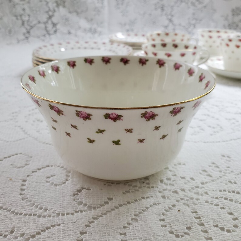 Rare Antique Star Paragon China Set 18 Pieces Pattern 3656 | Etsy