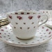 Rare Antique Star Paragon China Set, 18 Pieces, Pattern 3656, English ...