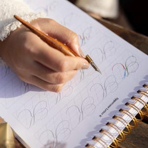 Buy The Enchanted World of Calligraphy Flourishing Workbook Online in ...