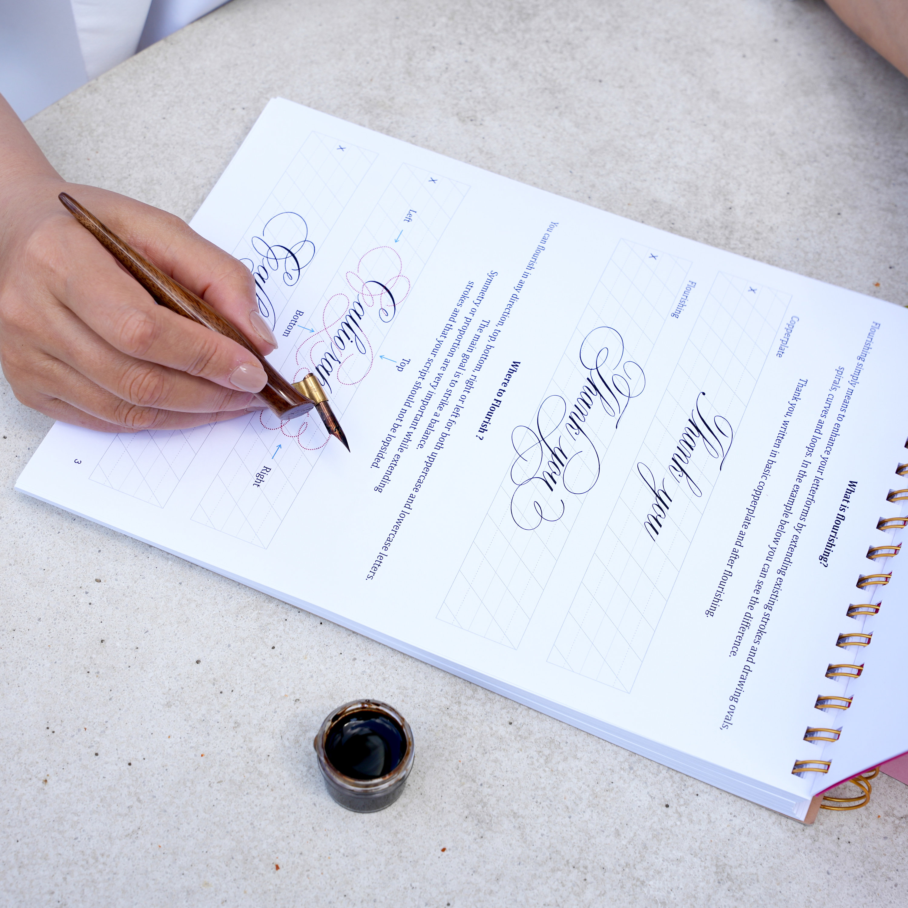 Buy The Enchanted World of Calligraphy Flourishing Workbook Online in ...