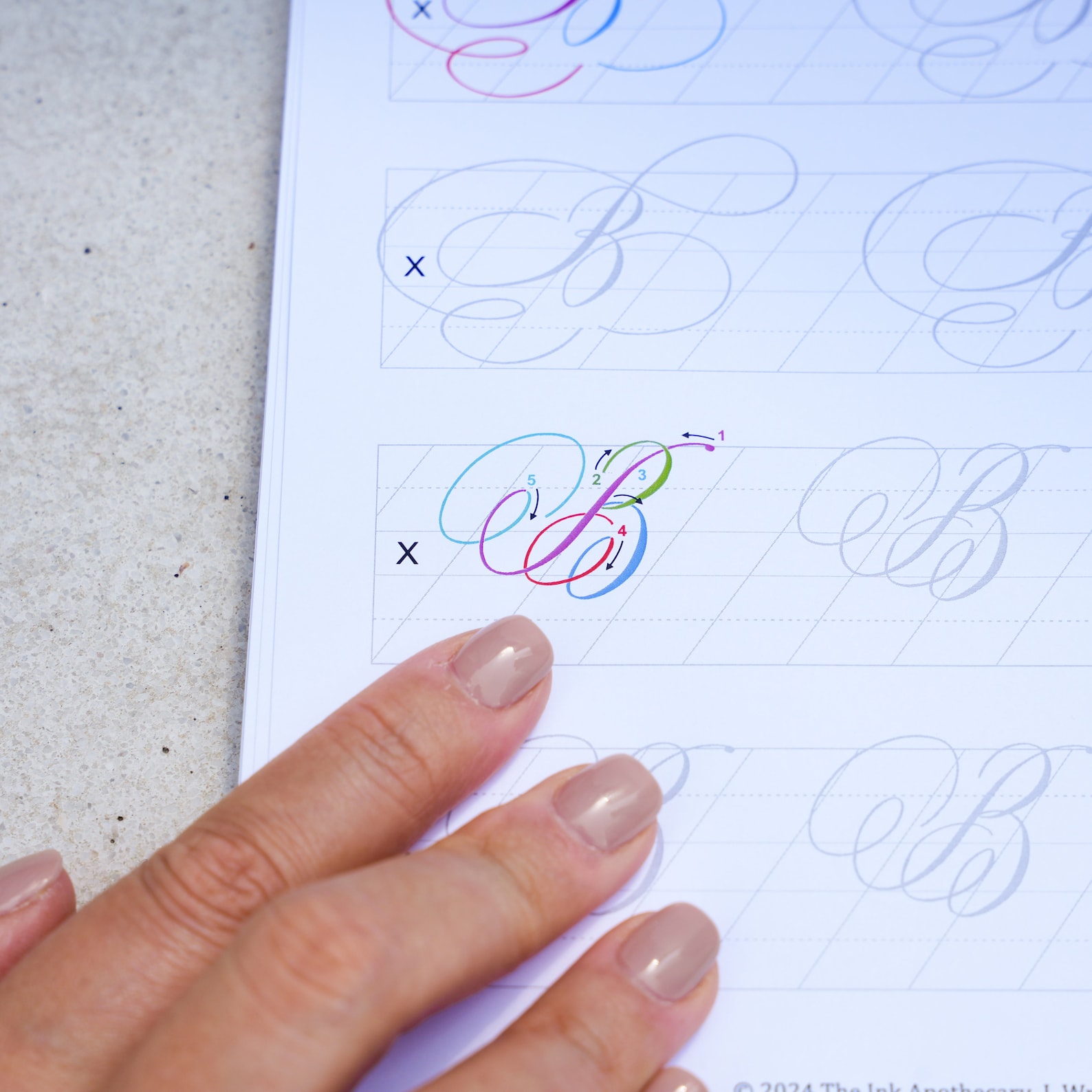 Buy The Enchanted World of Calligraphy Flourishing Workbook Online in ...