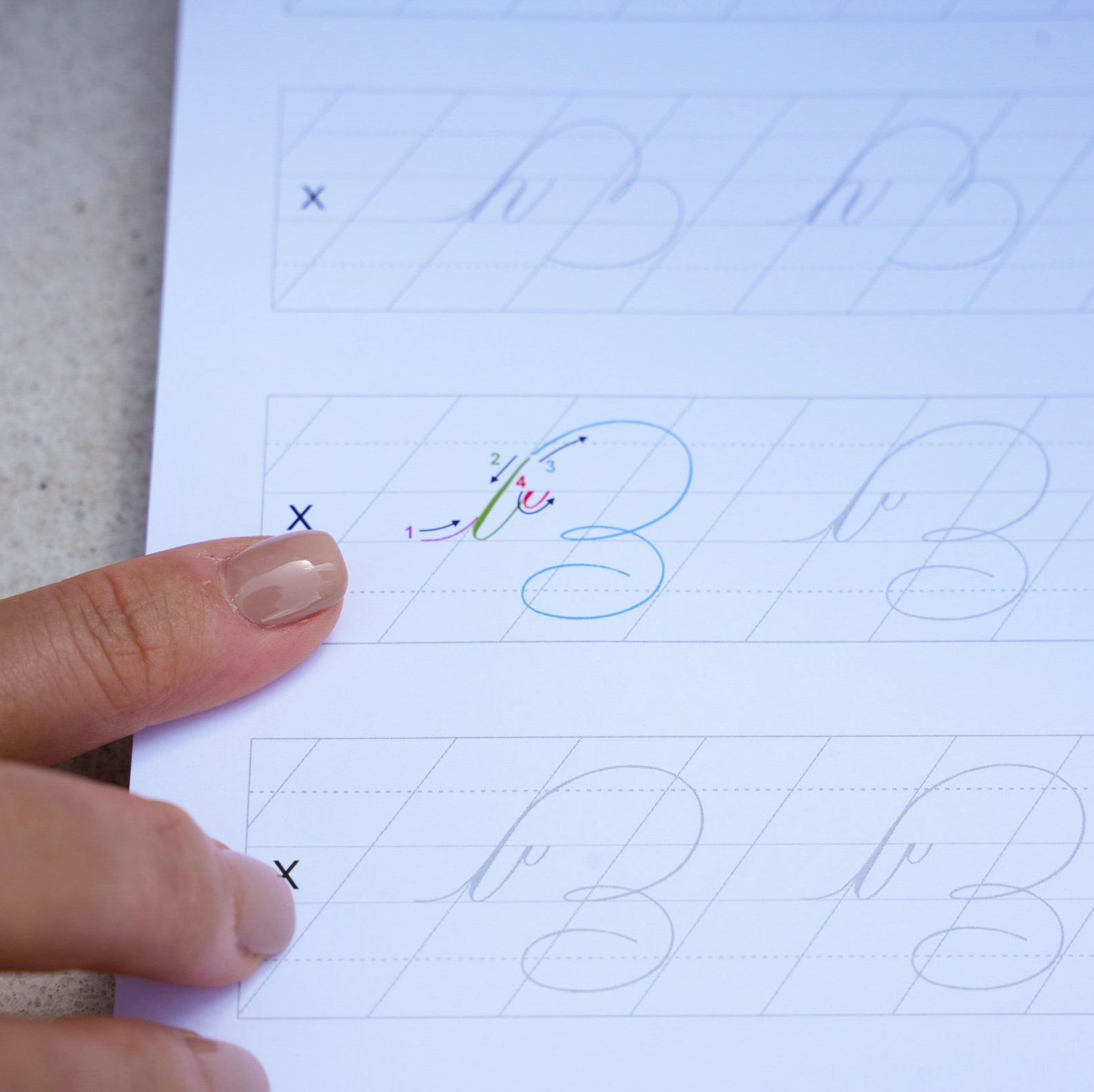 Buy The Enchanted World of Calligraphy Flourishing Workbook Online in ...