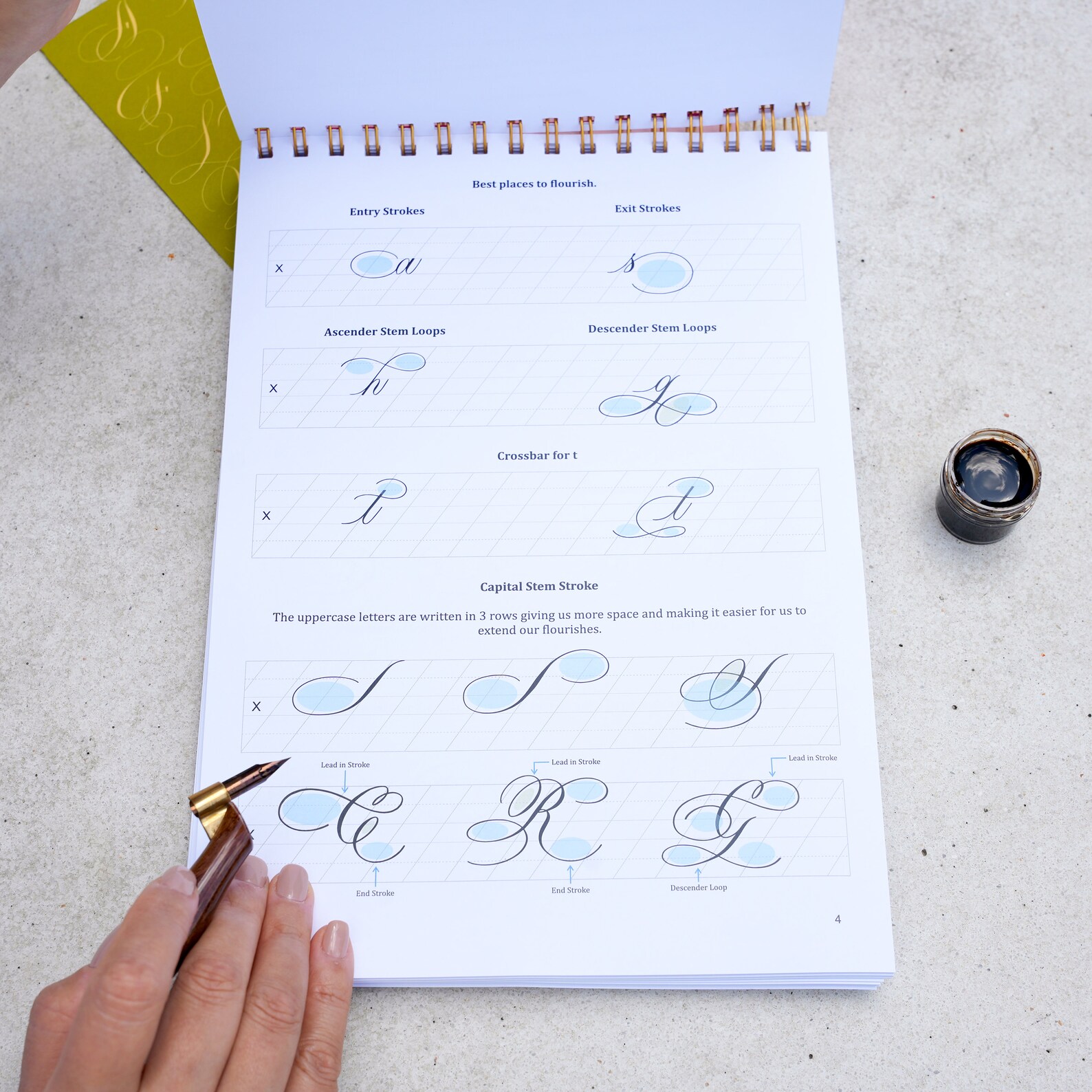 Buy The Enchanted World of Calligraphy Flourishing Workbook Online in ...