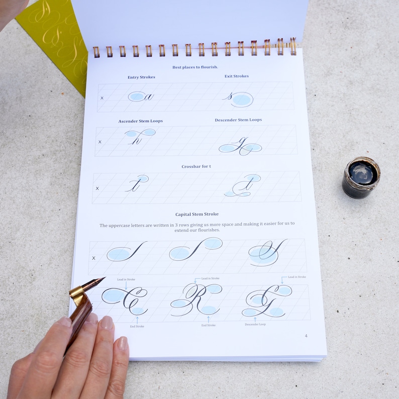 The Enchanted World of Calligraphy Flourishing Workbook - Etsy