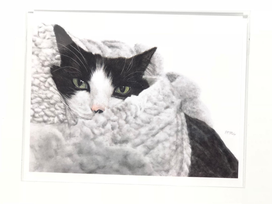 Blank Card Print Snuggly Kitty Carbon Dust - Etsy