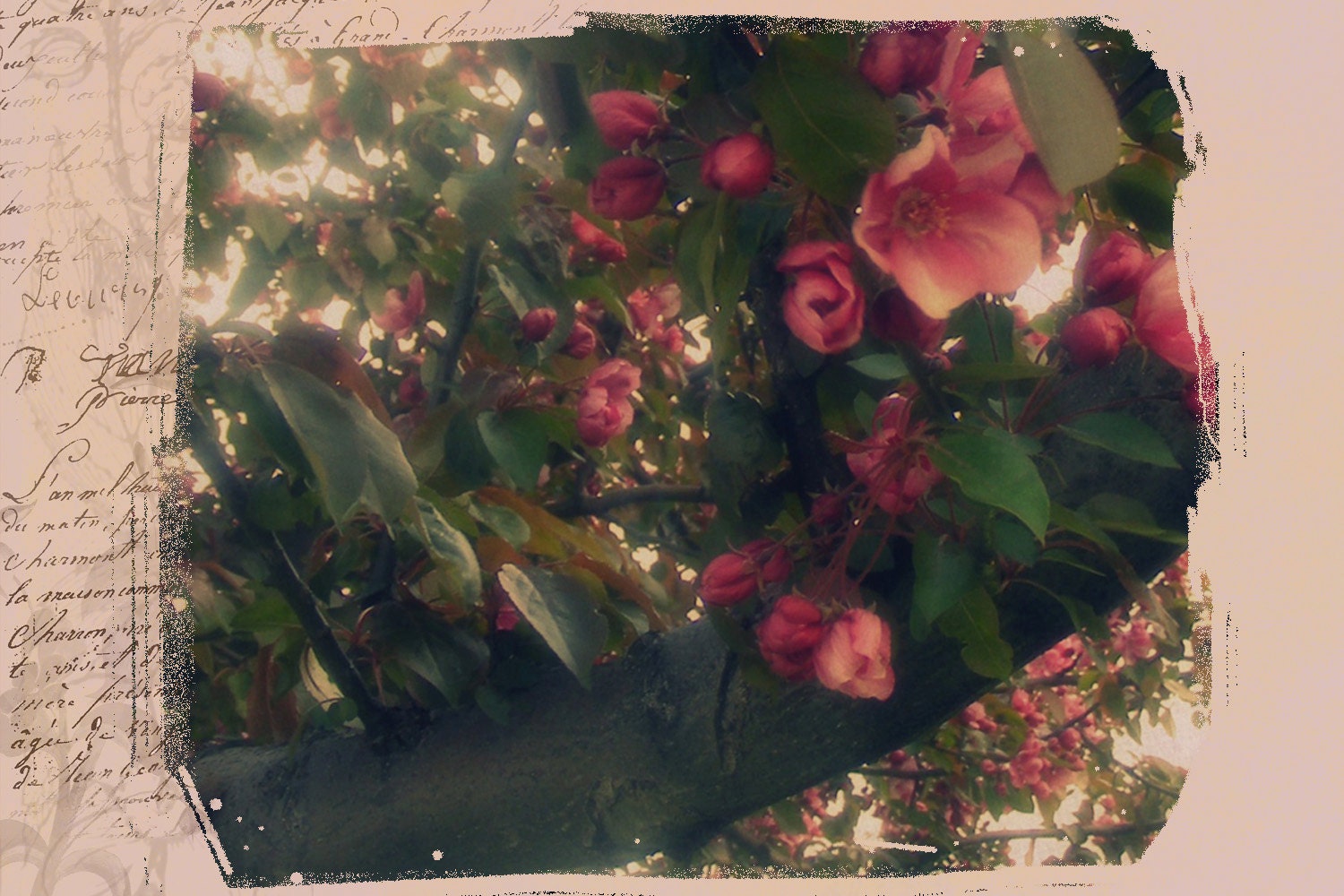 Six Digital Photo Masks,digital Clipping Masks, Photoshop Clipping ...