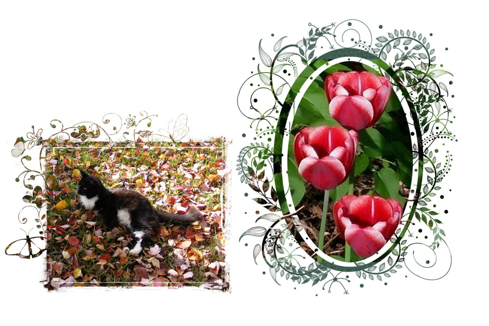 Five Digital Photo Masks, Digital Clipping Masks, Leafy Photo Masks ...