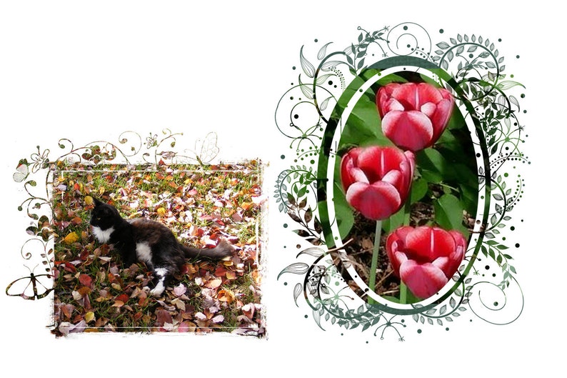 Five Digital Photo Masks, Digital Clipping Masks, Leafy Photo Masks ...