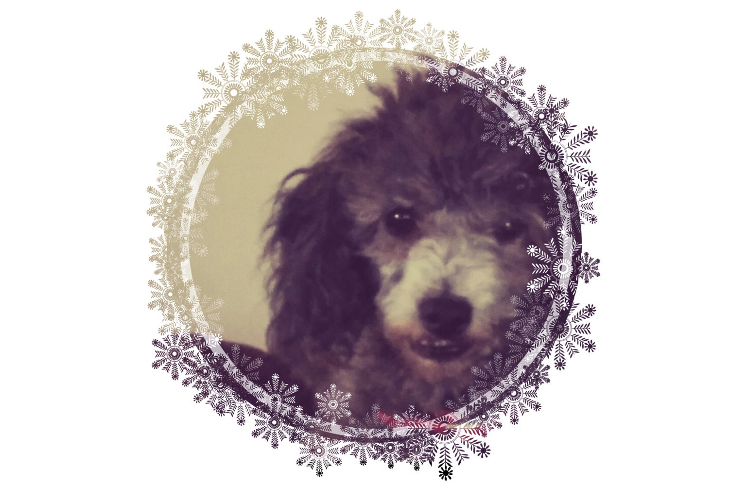 Six Digital Photo Masks,digital Clipping Masks, Photoshop Clipping ...