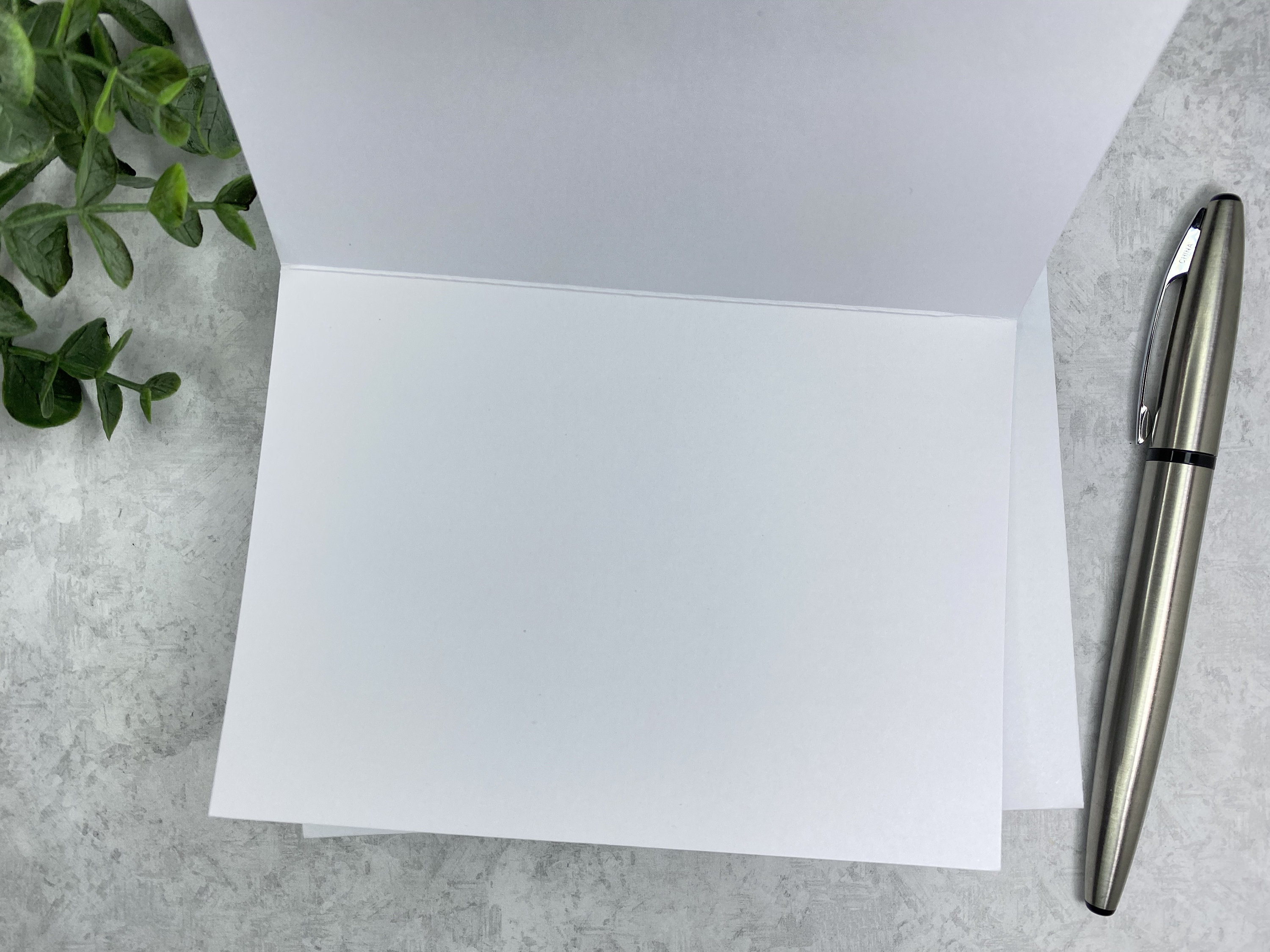 Set of Merry Christmas Cards Blank or YOUR Message Inside - Etsy