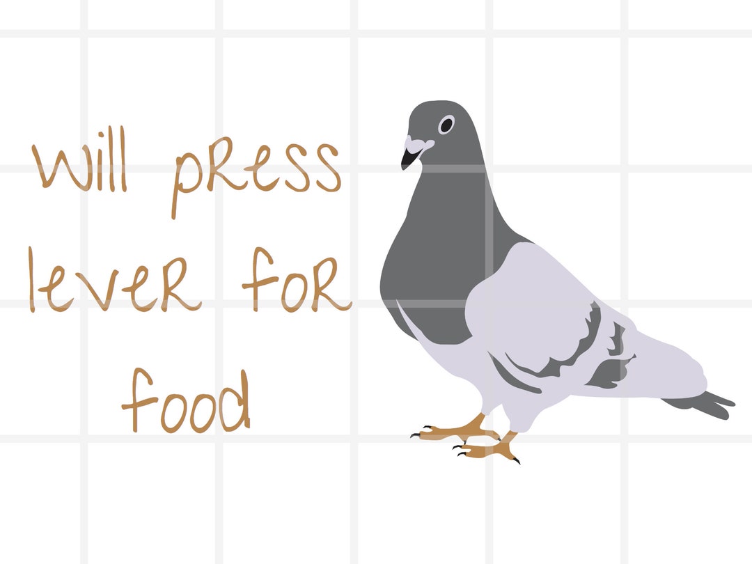 ABA Design - Will Press Lever for Food - *digital Download* - Etsy