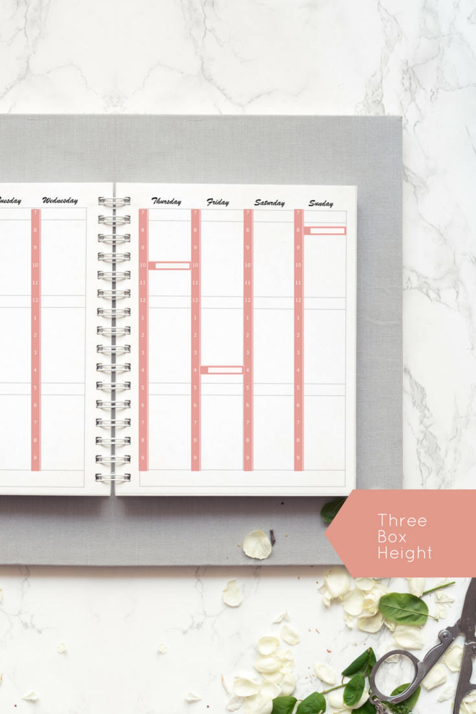 Hourly Stickers, Time Schedule for Your Vertical Happy Planner. Blush ...