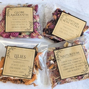 Dried Herb LABELS - Apothecary Labels, Herb Sticker Labels, Green Witch ...