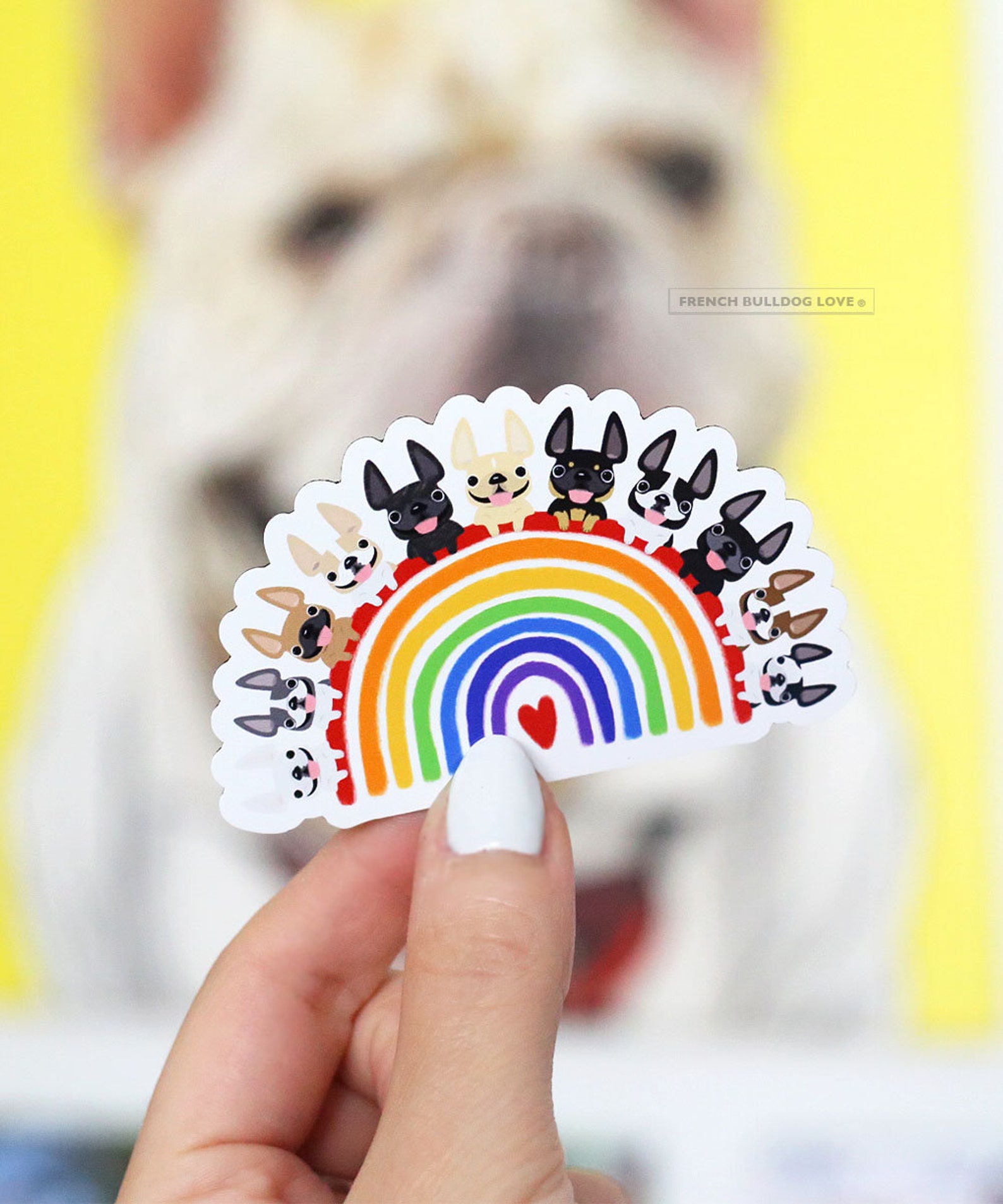 Frenchie Rainbow Magnet Frenchie Pride Magnet Rainbow | Etsy