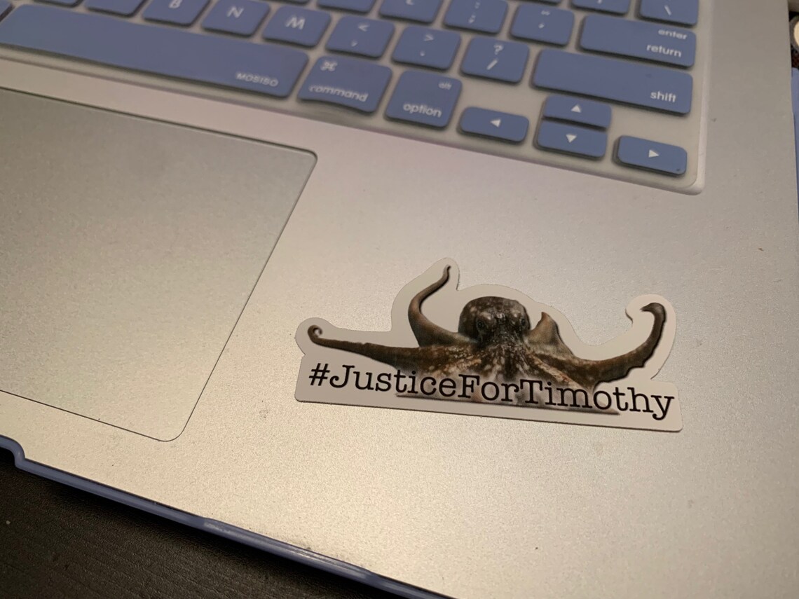 Justice for Timothy the Octopus Sticker the Boys Inspired - Etsy