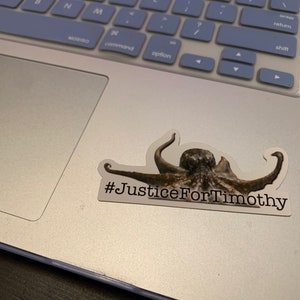 Justice for Timothy the Octopus Sticker, the Boys Inspired Stickers ...