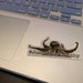 Justice for Timothy the Octopus Sticker the Boys Inspired - Etsy