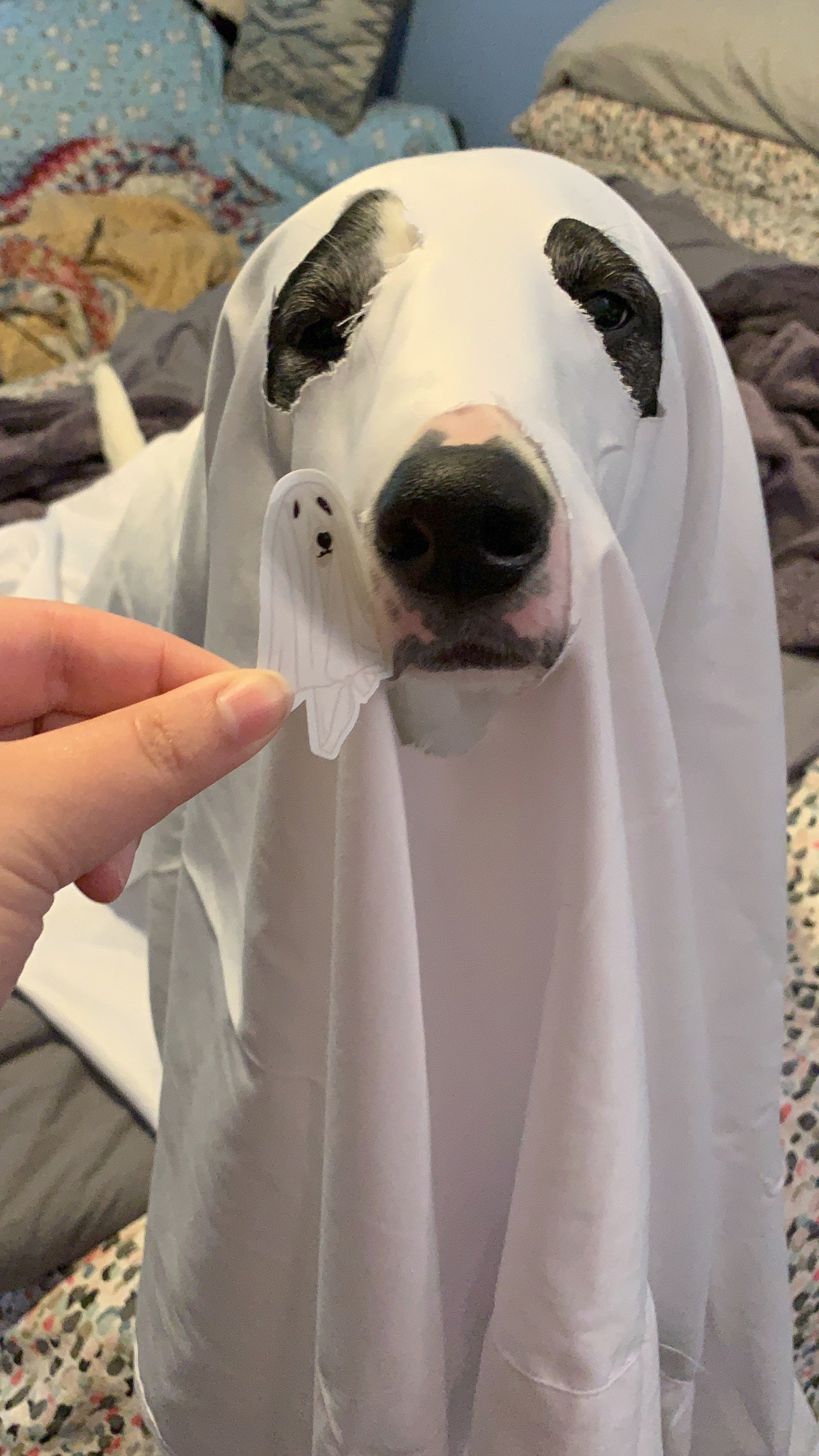 Ghost Dog Sticker Bed Sheet Ghost Spooky Pupper Ghost | Etsy