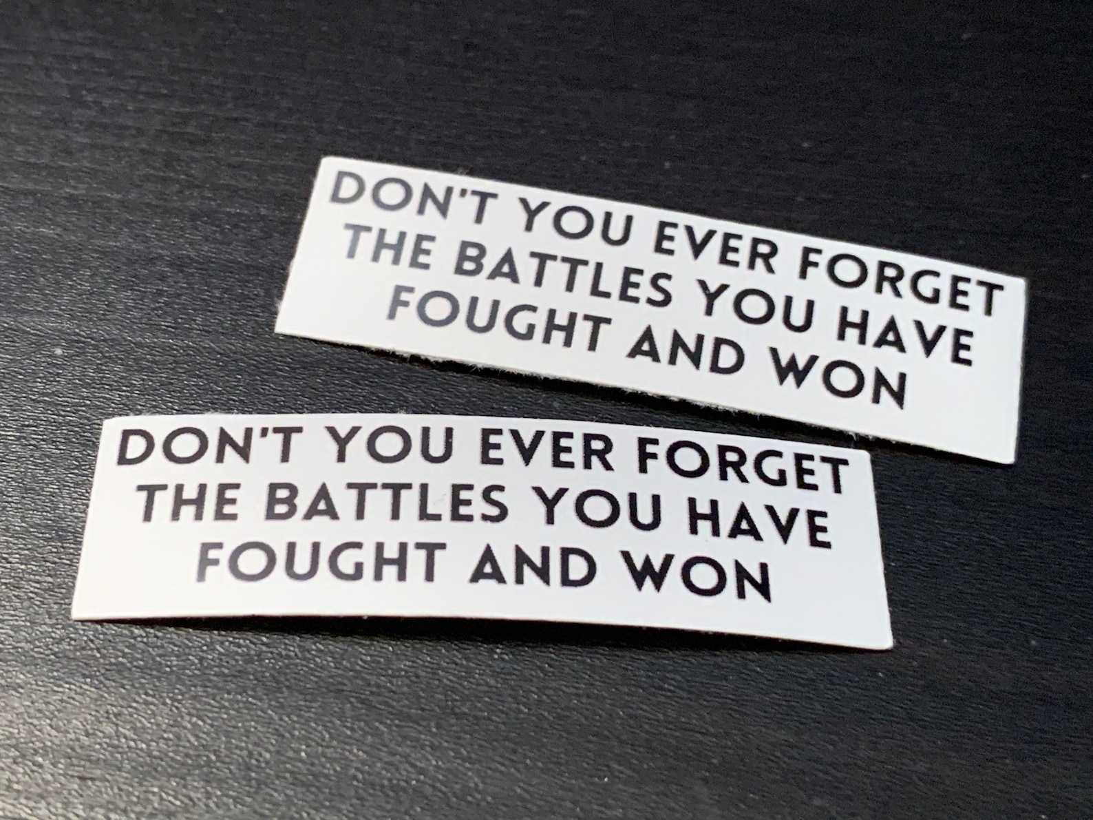 Don’t You Ever Forget the Battles You Have Fought and Won, West Wing ...
