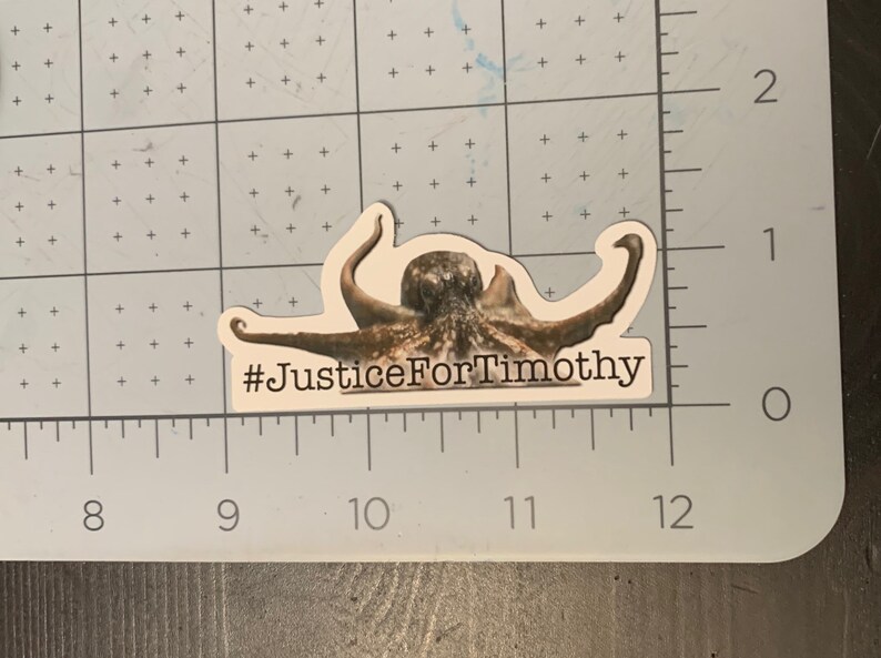 Justice for Timothy the Octopus Sticker the Boys Inspired - Etsy