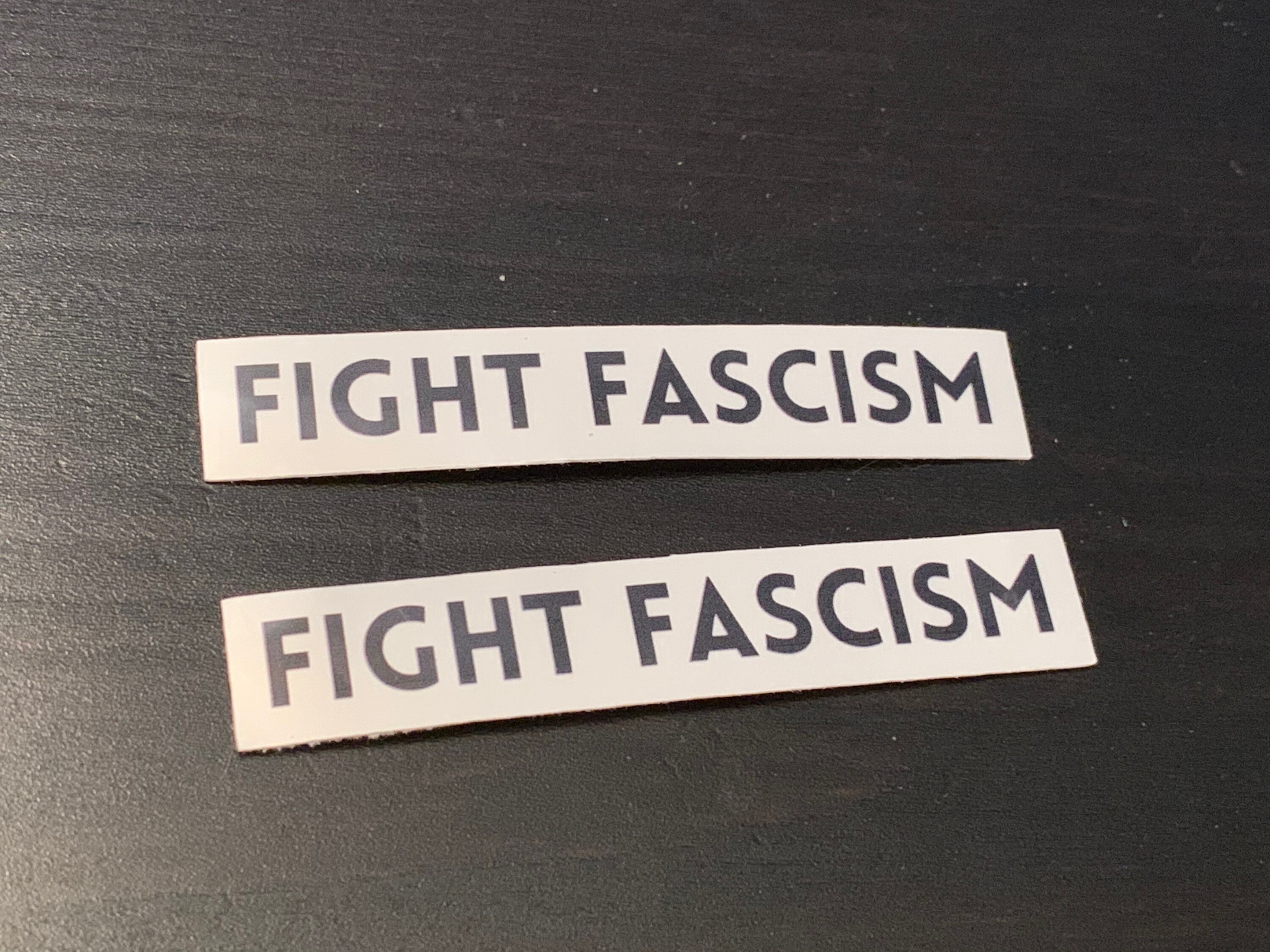 Fascism What It Is And How To Fight It